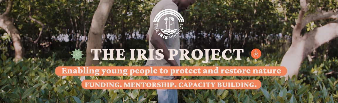 The Iris Project – Big Give
